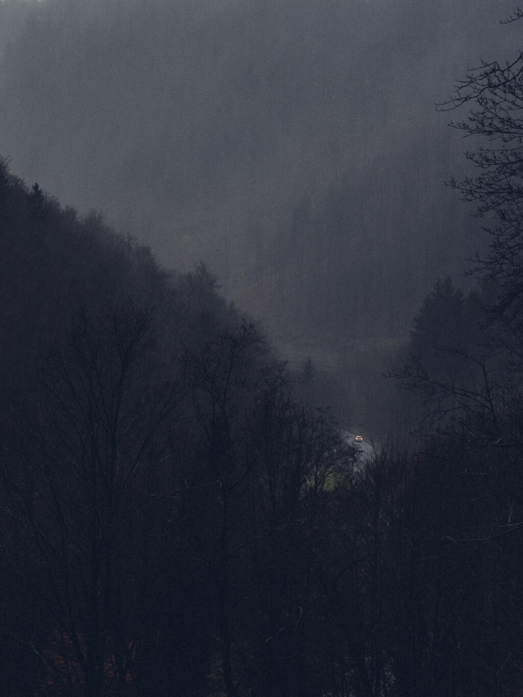 overview - martin steger